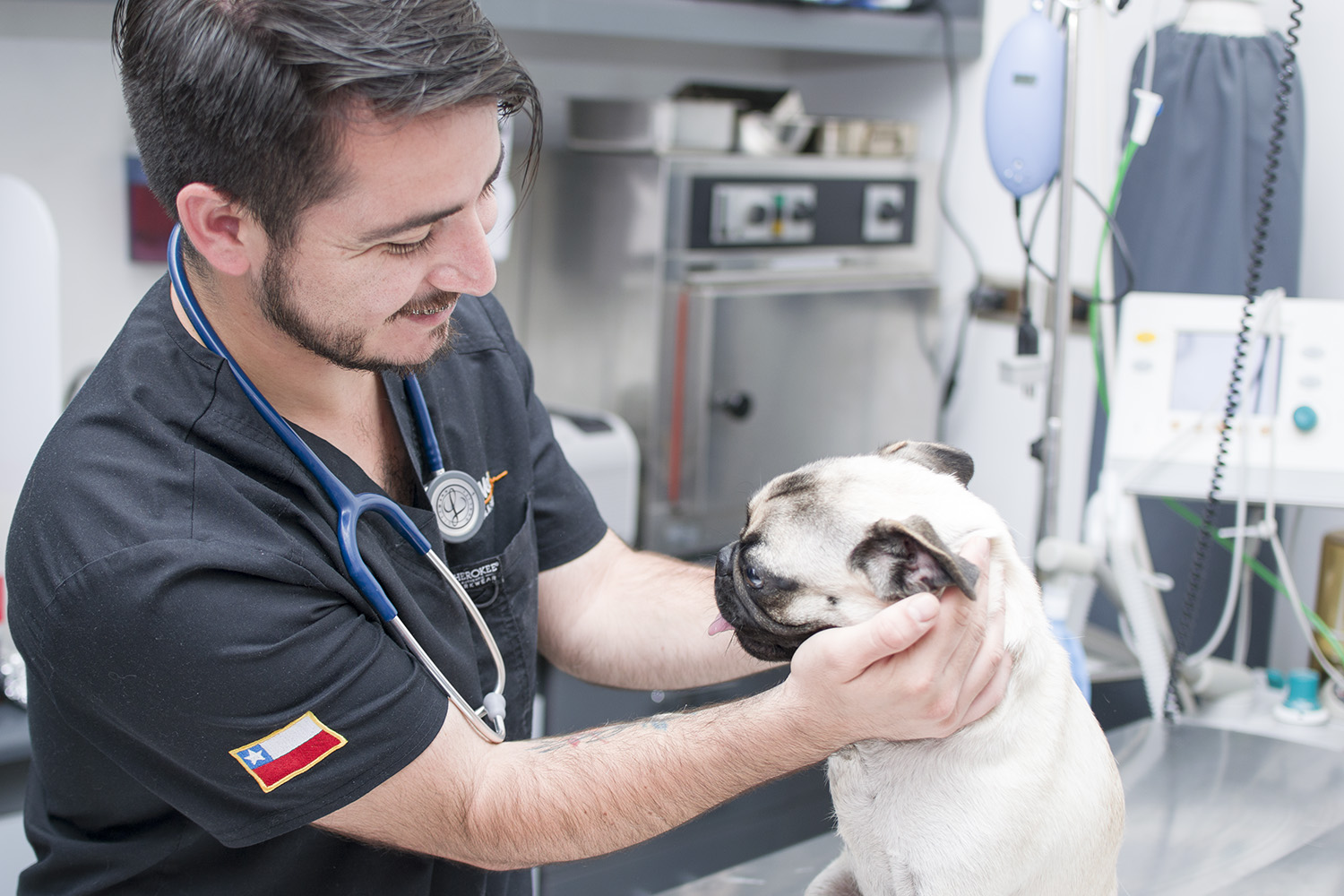 Dr Vet HV - Hospital Veterinario en Iquique para la salud de tu mascota.